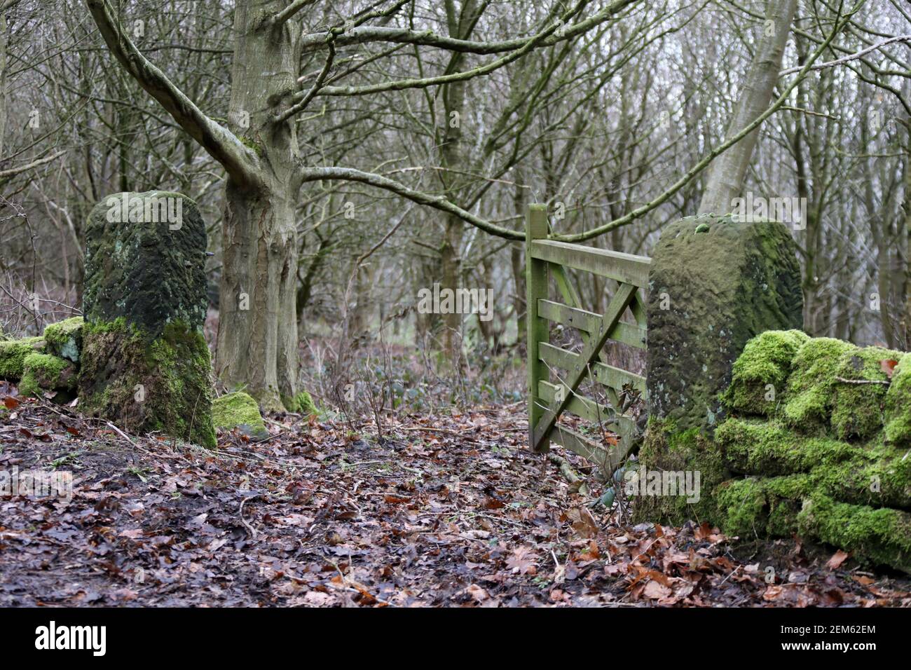 Gritstone gate posts and wooden gate near Stanton Moor in Derbyshire ...