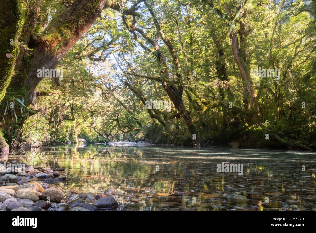 Clinton River New Zealand High Resolution Stock Photography and Images ...