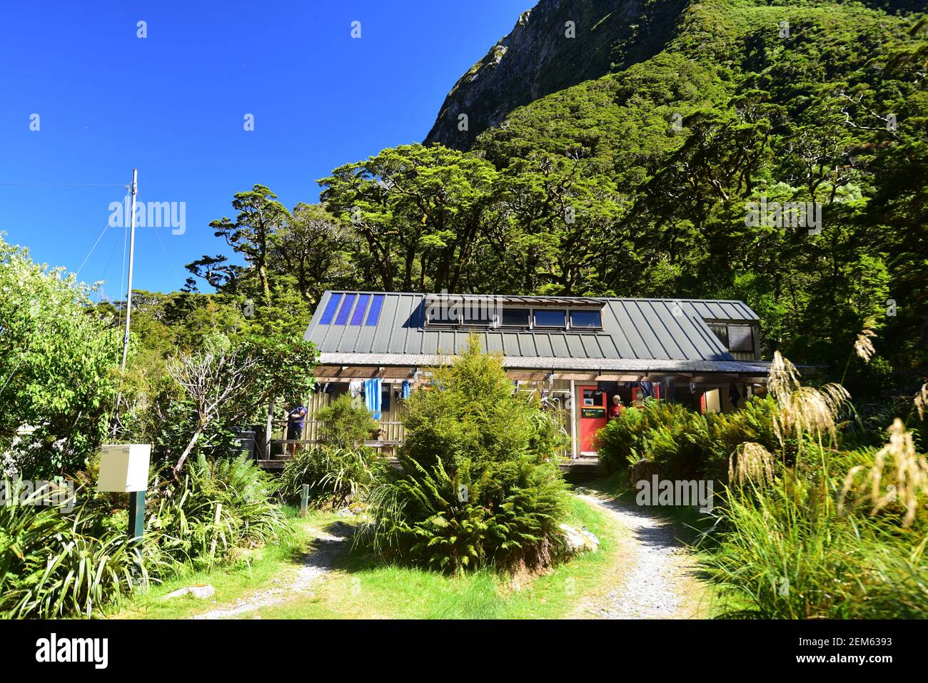 Milford track - Mintaro hut, New Zealand Stock Photo - Alamy