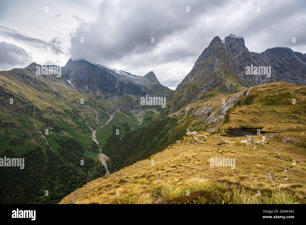 Milford sound lodge hi-res stock photography and images - Alamy