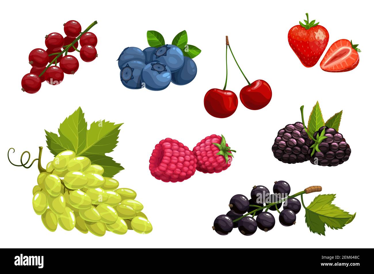 Cartoon berries vector strawberry, bunch of white grape and blackberry ...