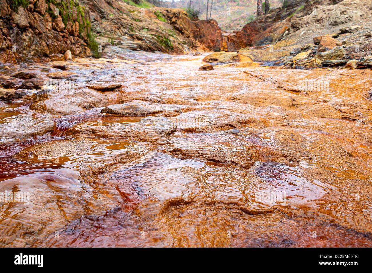River source andalucia spain hi-res stock photography and images - Alamy