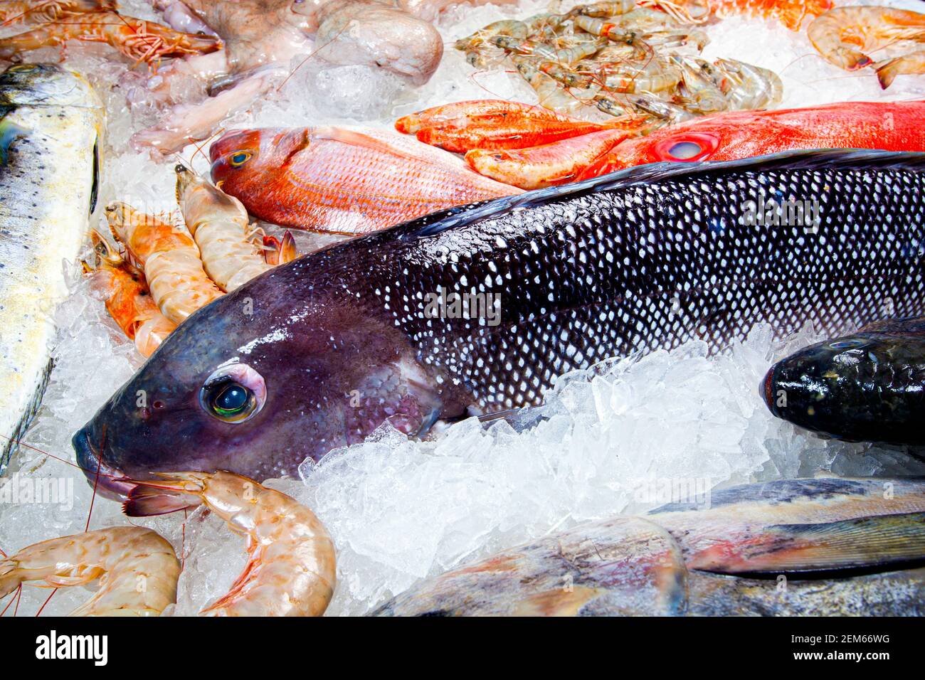 Seafood on ice at the fish market Stock Photo - Alamy