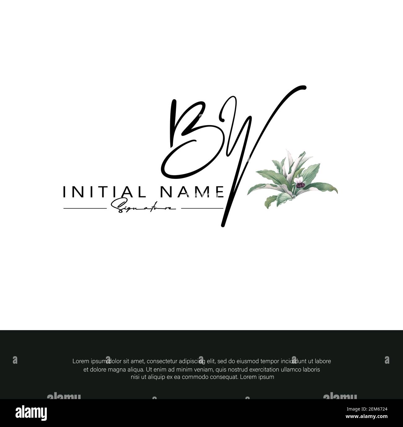 Elite Stock Vector Images - Alamy