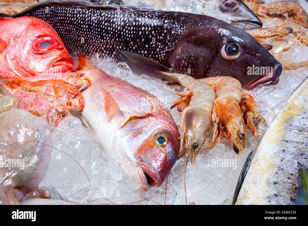 Seafood on ice at the fish market Stock Photo - Alamy