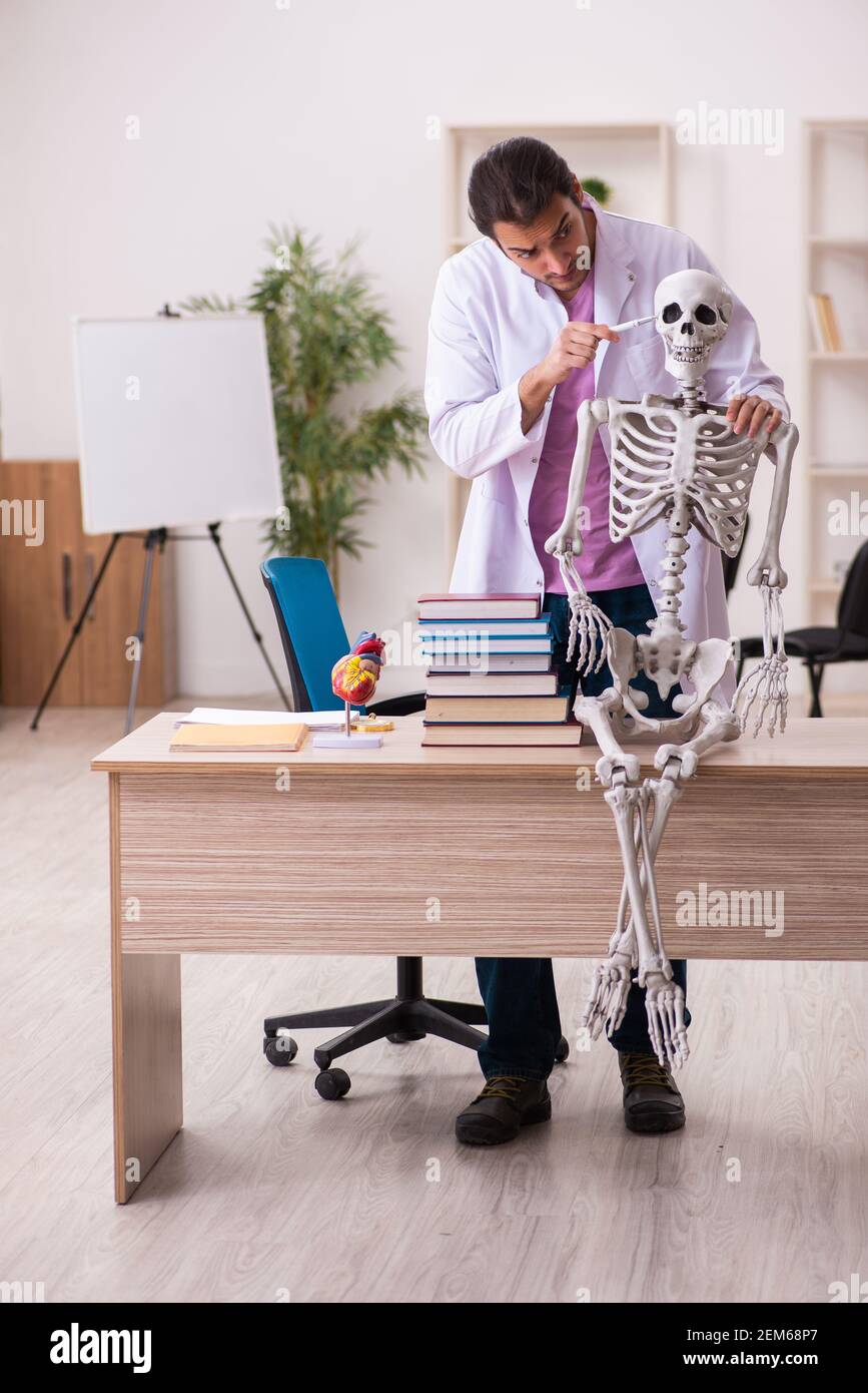 Young doctor student studying human skeleton in the classroom Stock ...