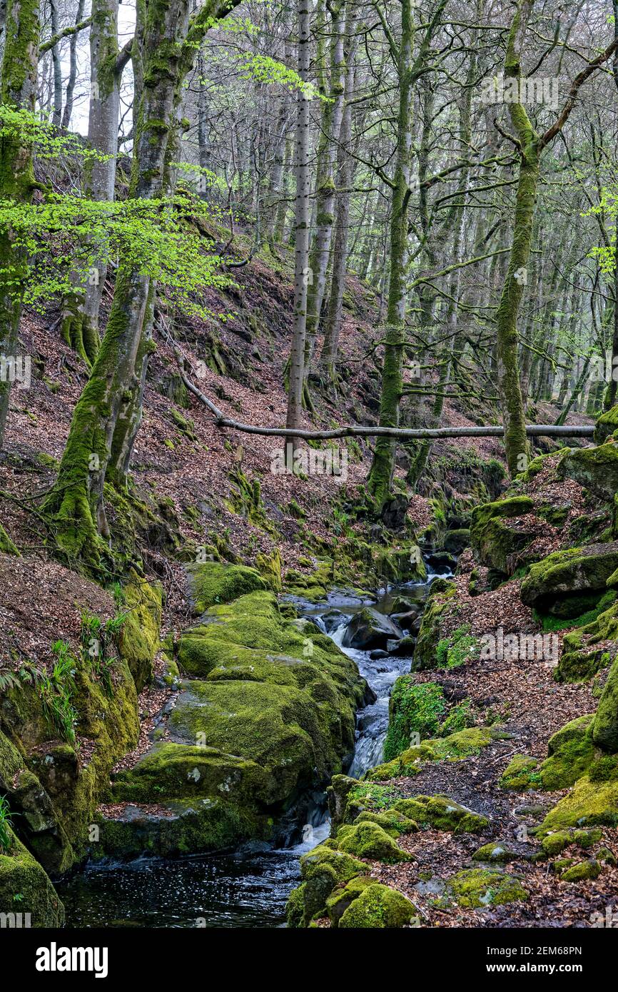 County Wicklow, Ireland. 7th May, 2016. Shankill River in Wicklow ...