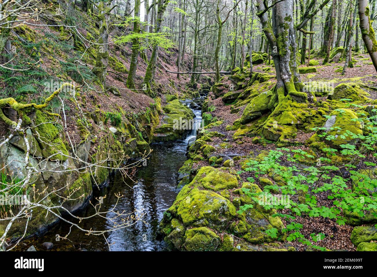 County Wicklow, Ireland. 7th May, 2016. Shankill River in Wicklow ...