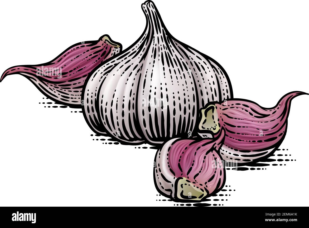 Vegetable cookery Stock Vector Images - Alamy