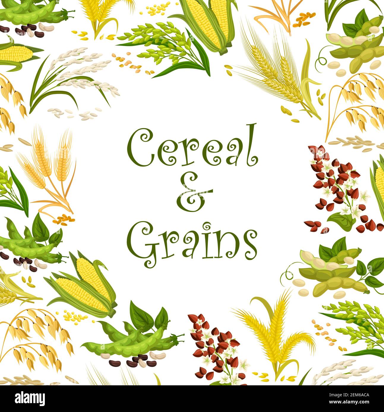 Cereal seeds and bean grains vector frame with rice, wheat and ...