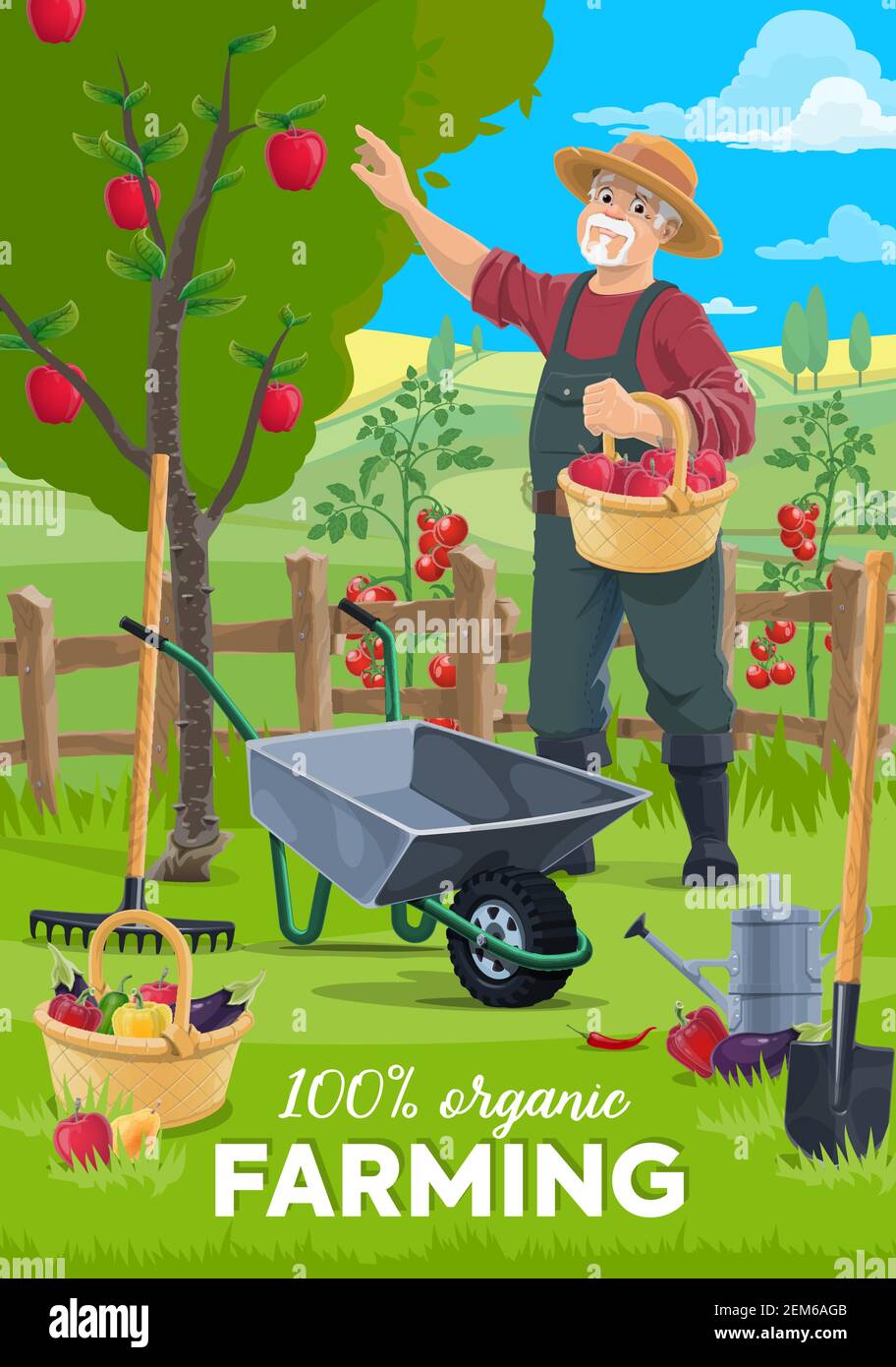 Farming and harvesting vector poster, farmer man gathering apples ...