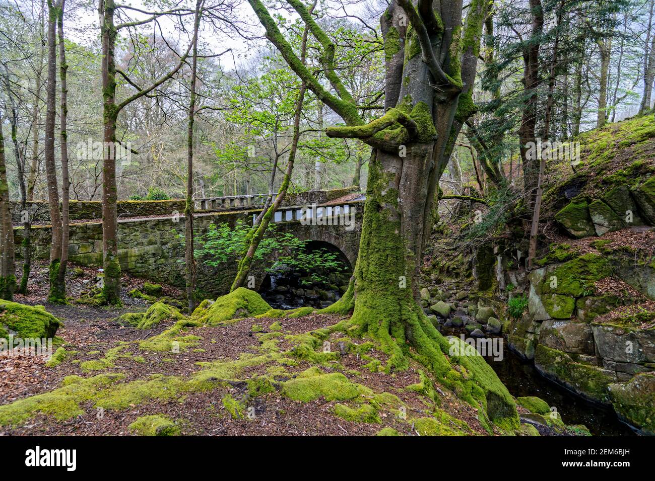 County Wicklow, Ireland. 7th May, 2016. Single-arch Cloghleagh road ...