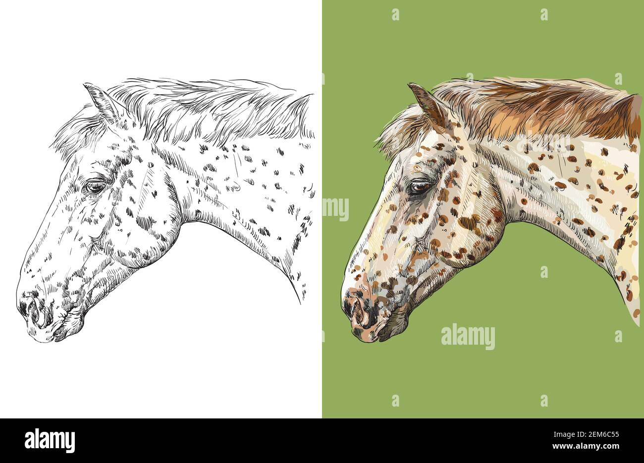 spotted horse coloring pages