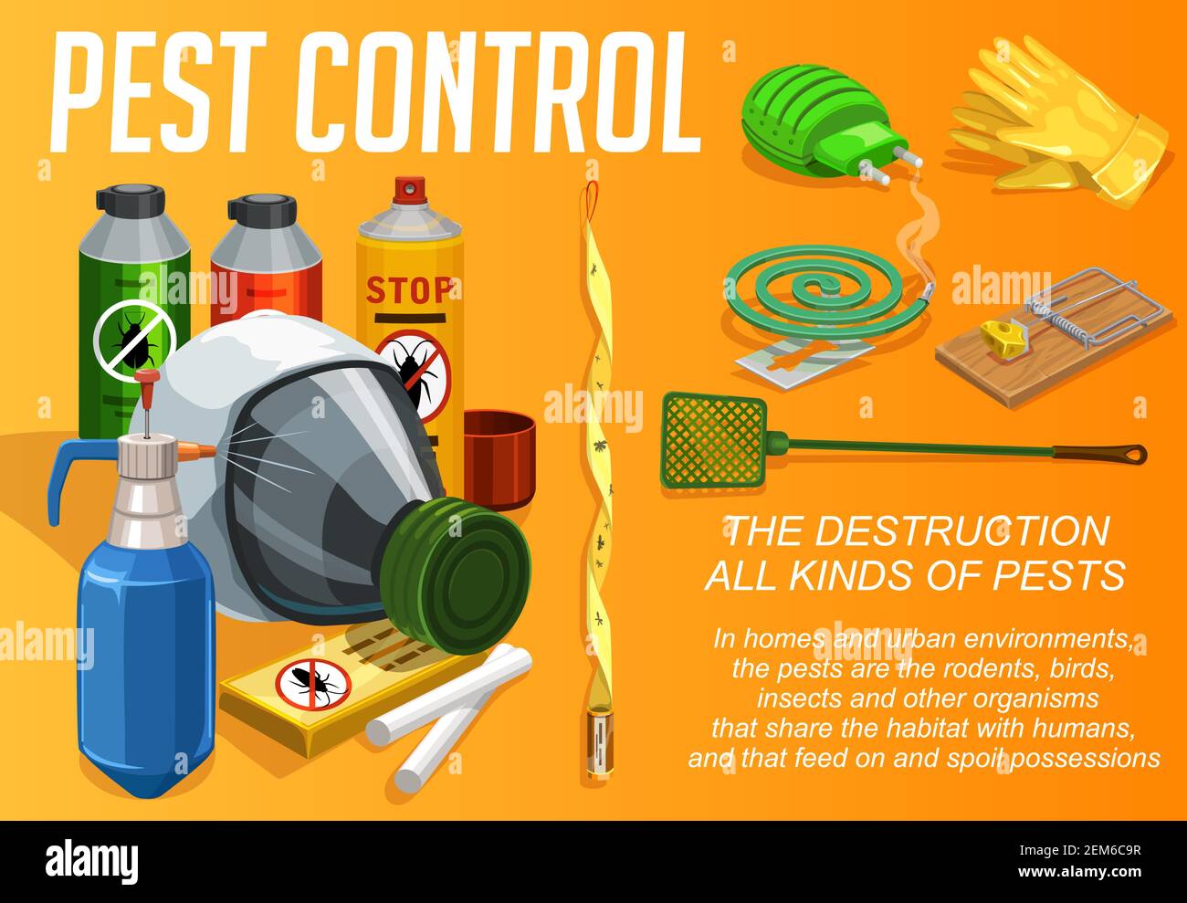 Pest control service, vector poster, domestic disinsection and ...