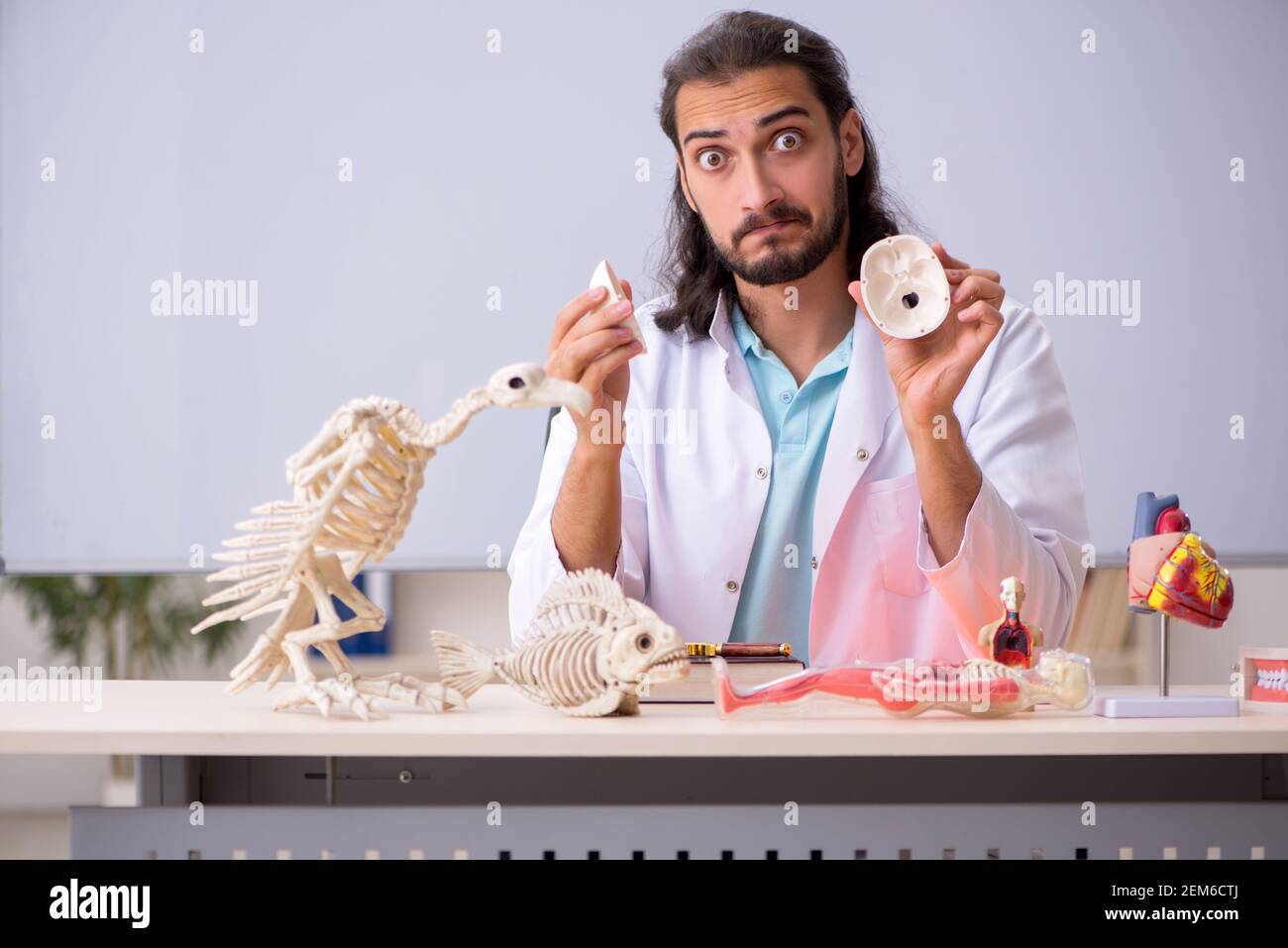 Young zoologist examining skeleton in the lab Stock Photo - Alamy