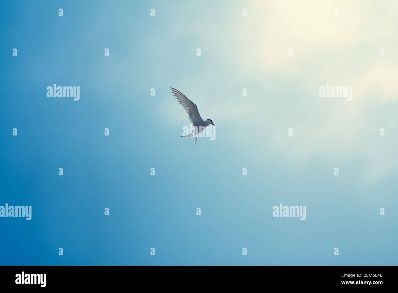 Solar cross symbol hi-res stock photography and images - Alamy