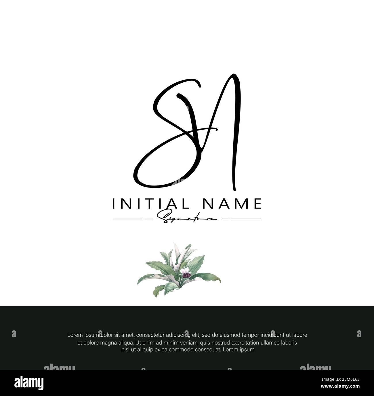 Sn letter logo hi-res stock photography and images - Alamy