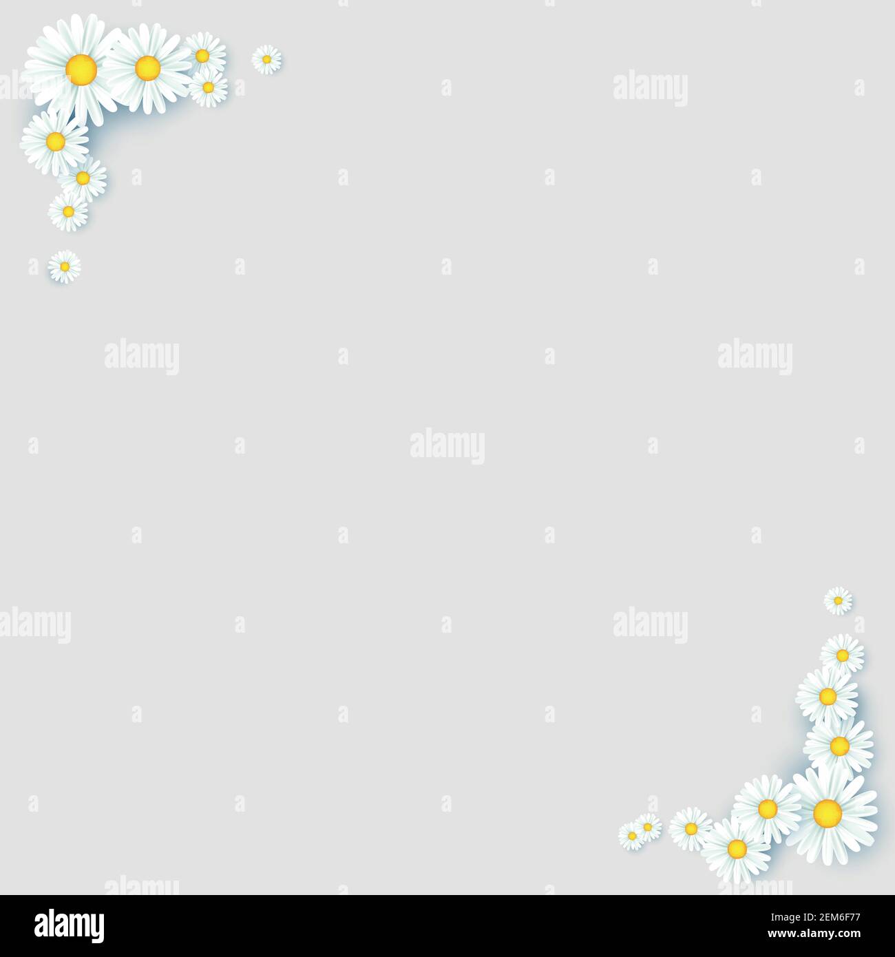 Abstract realistic background template with flowers - Vector ...