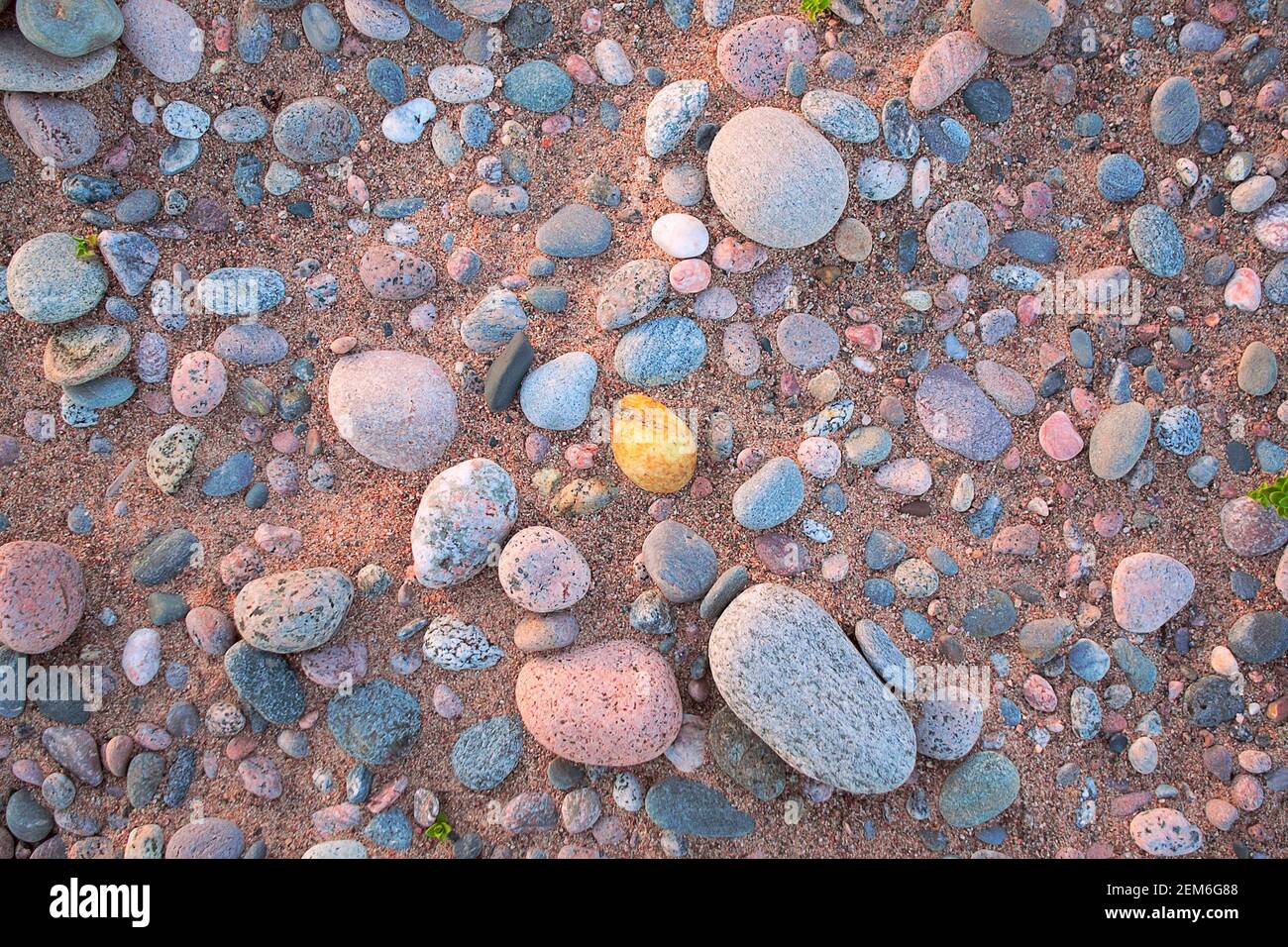 Sandy soil with stones hi-res stock photography and images - Alamy