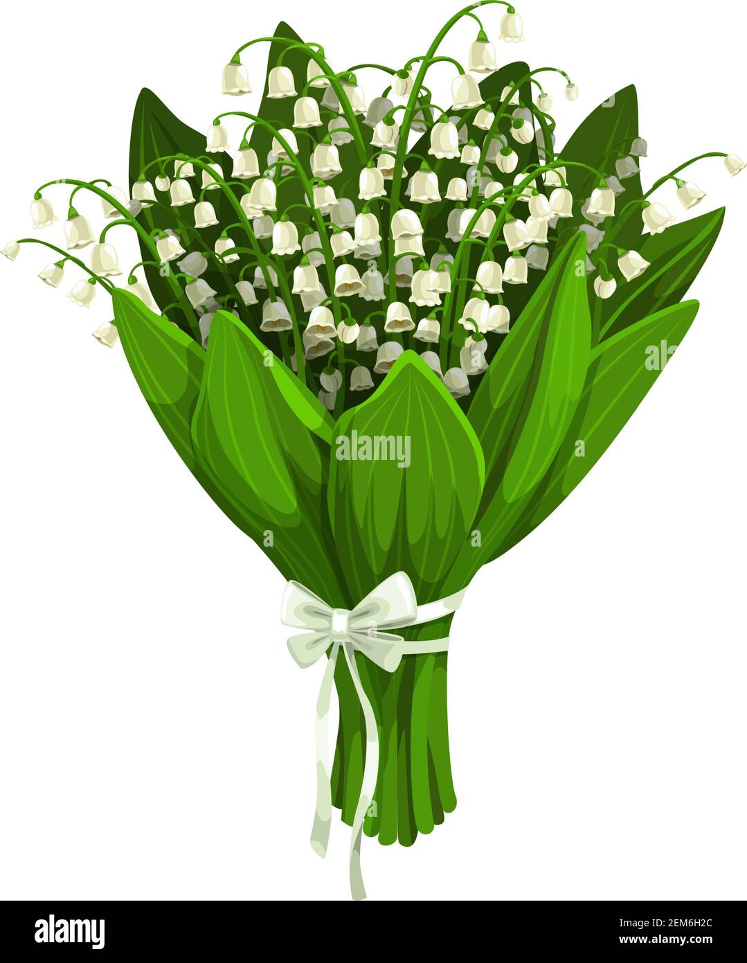 Lilium plants Stock Vector Images - Alamy