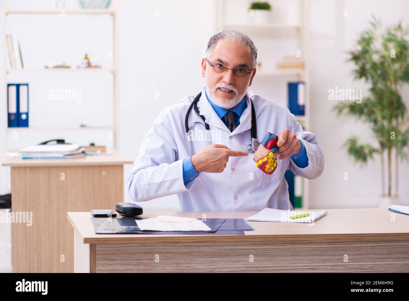 Senior male doctor cardiologist holding heart model Stock Photo - Alamy