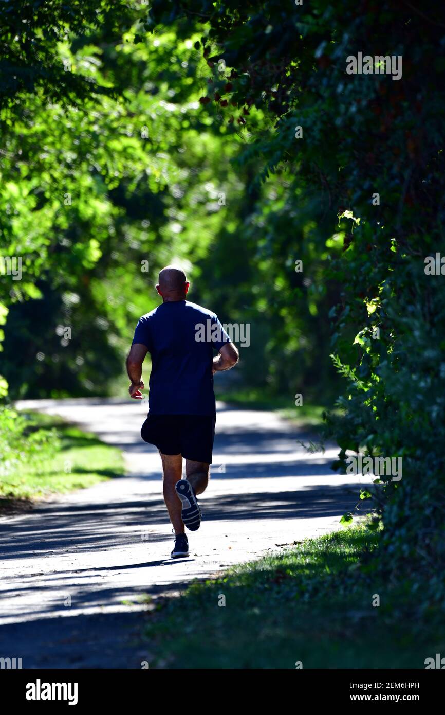 A lone runner runs along a paved path in the woods Stock Photo - Alamy