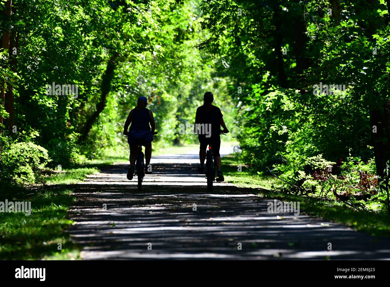 2 cyclists enjoy a sunny day along a bike path in the woods Stock Photo ...