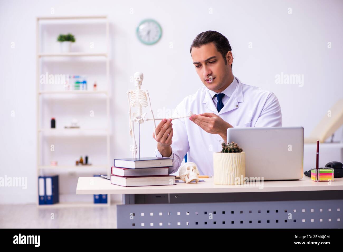 Young doctor studying human skeleton Stock Photo - Alamy