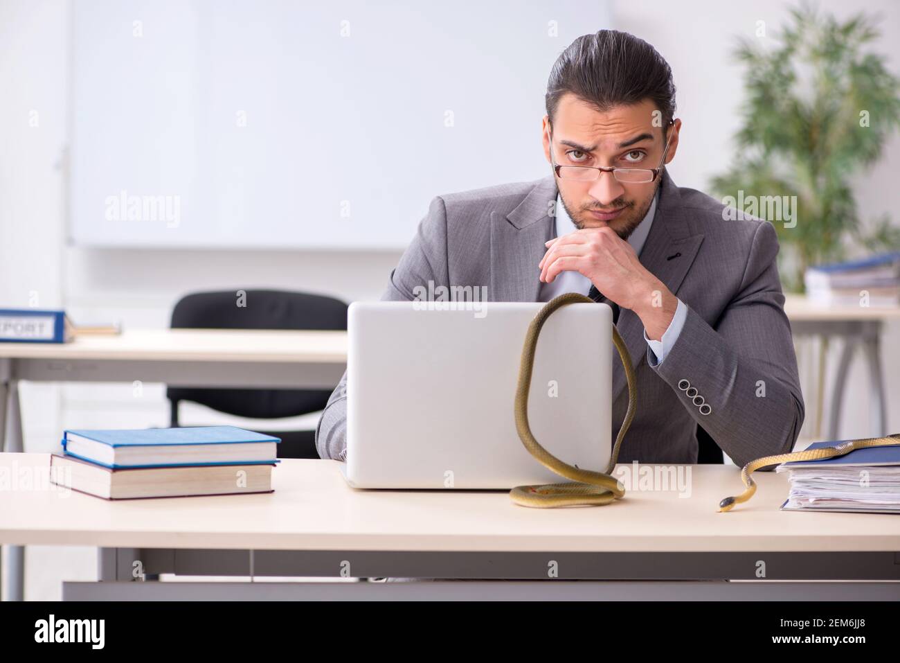 Male employee with snake in the office Stock Photo - Alamy