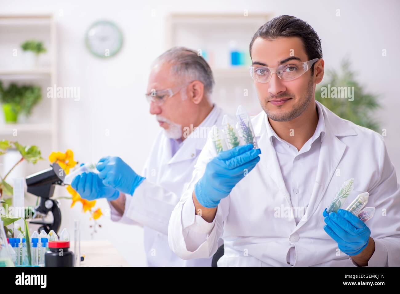 Two chemists working in the laboratory Stock Photo - Alamy