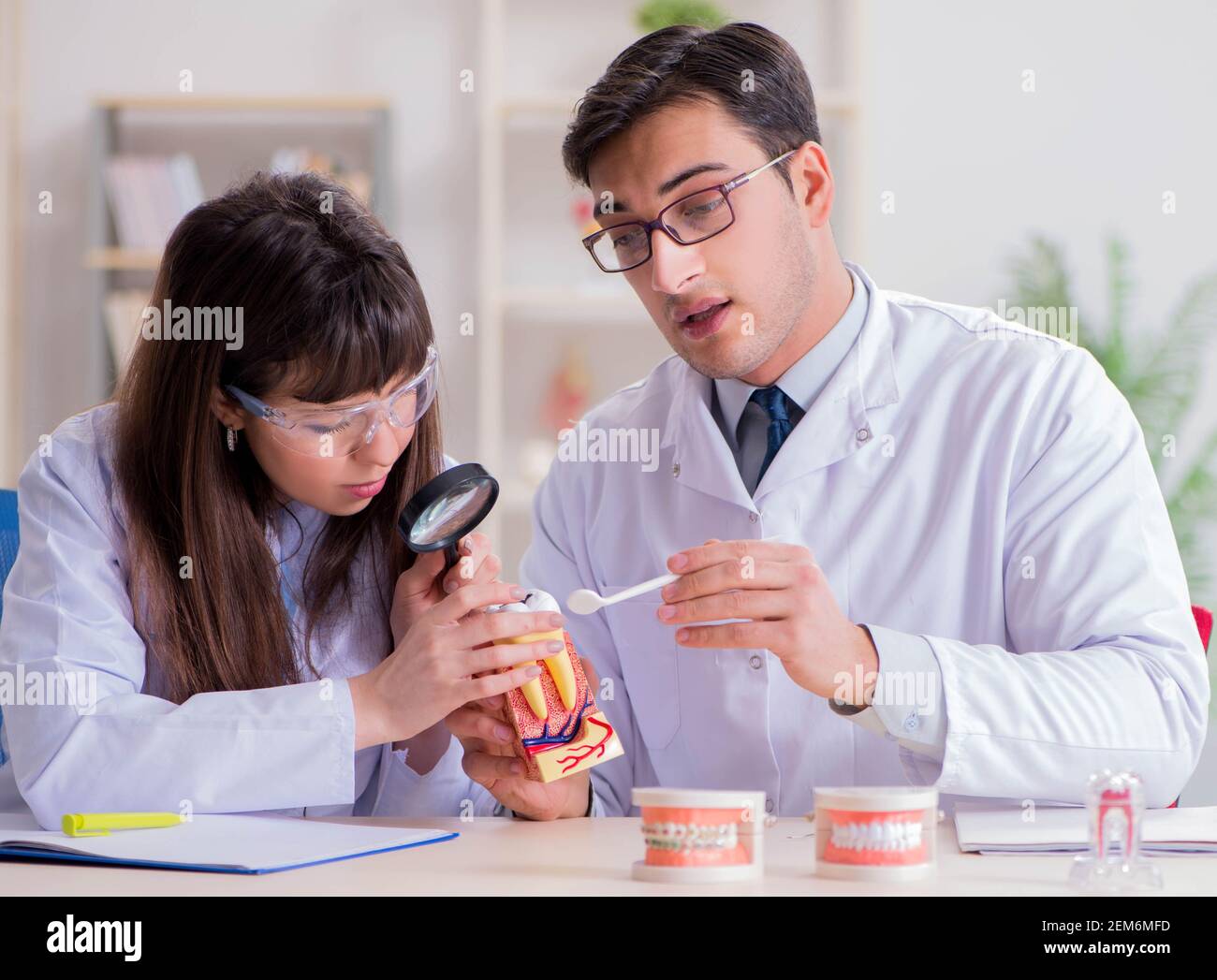 The dentist explaining student tooth structure Stock Photo - Alamy