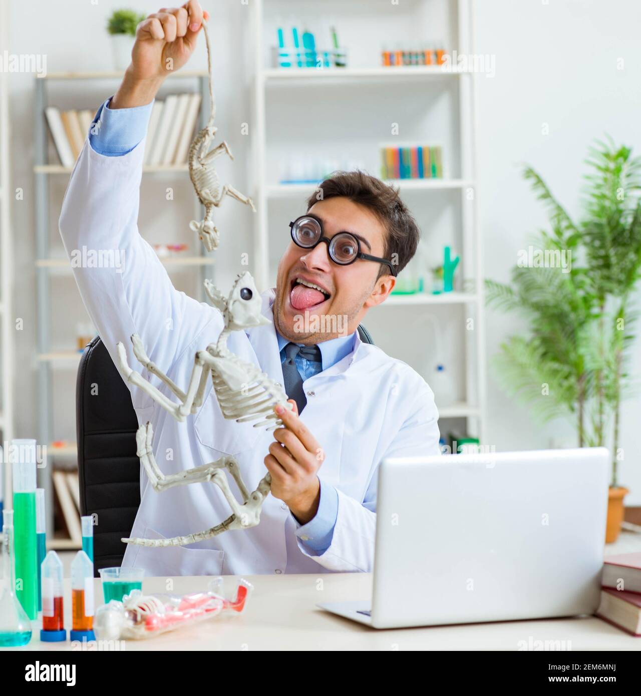 The funny scientist with cat skeleton in lab clinic Stock Photo - Alamy