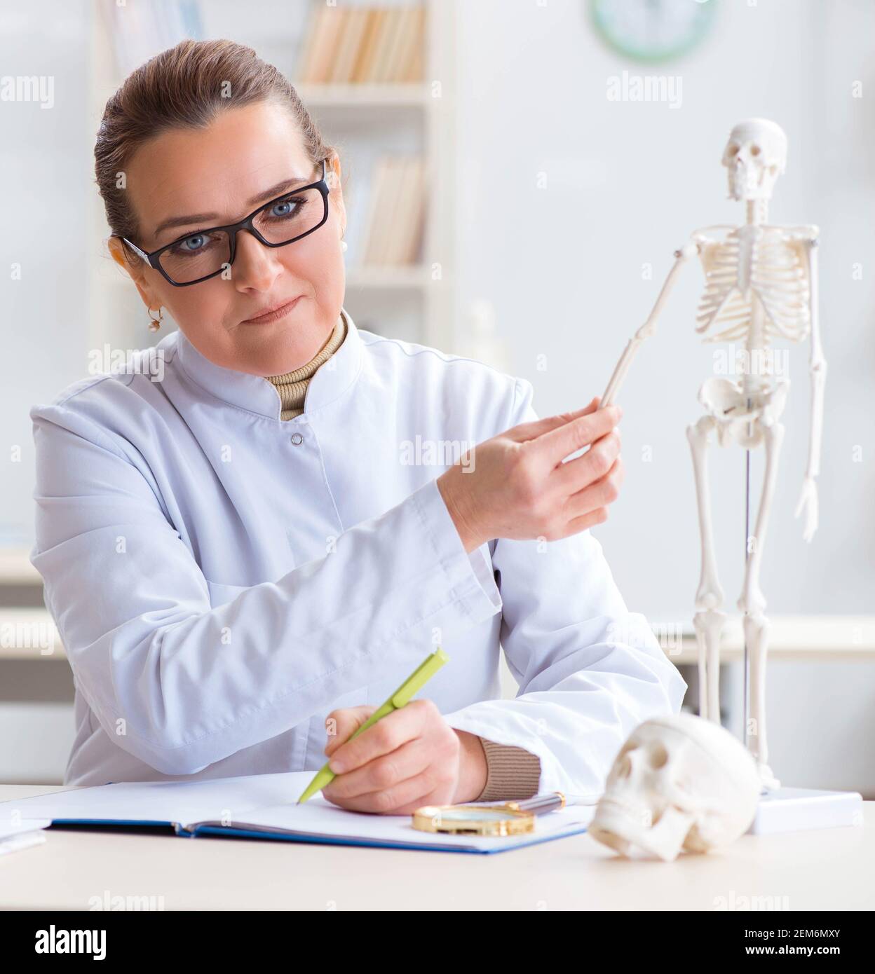 The woman doctor studying human skeleton Stock Photo - Alamy