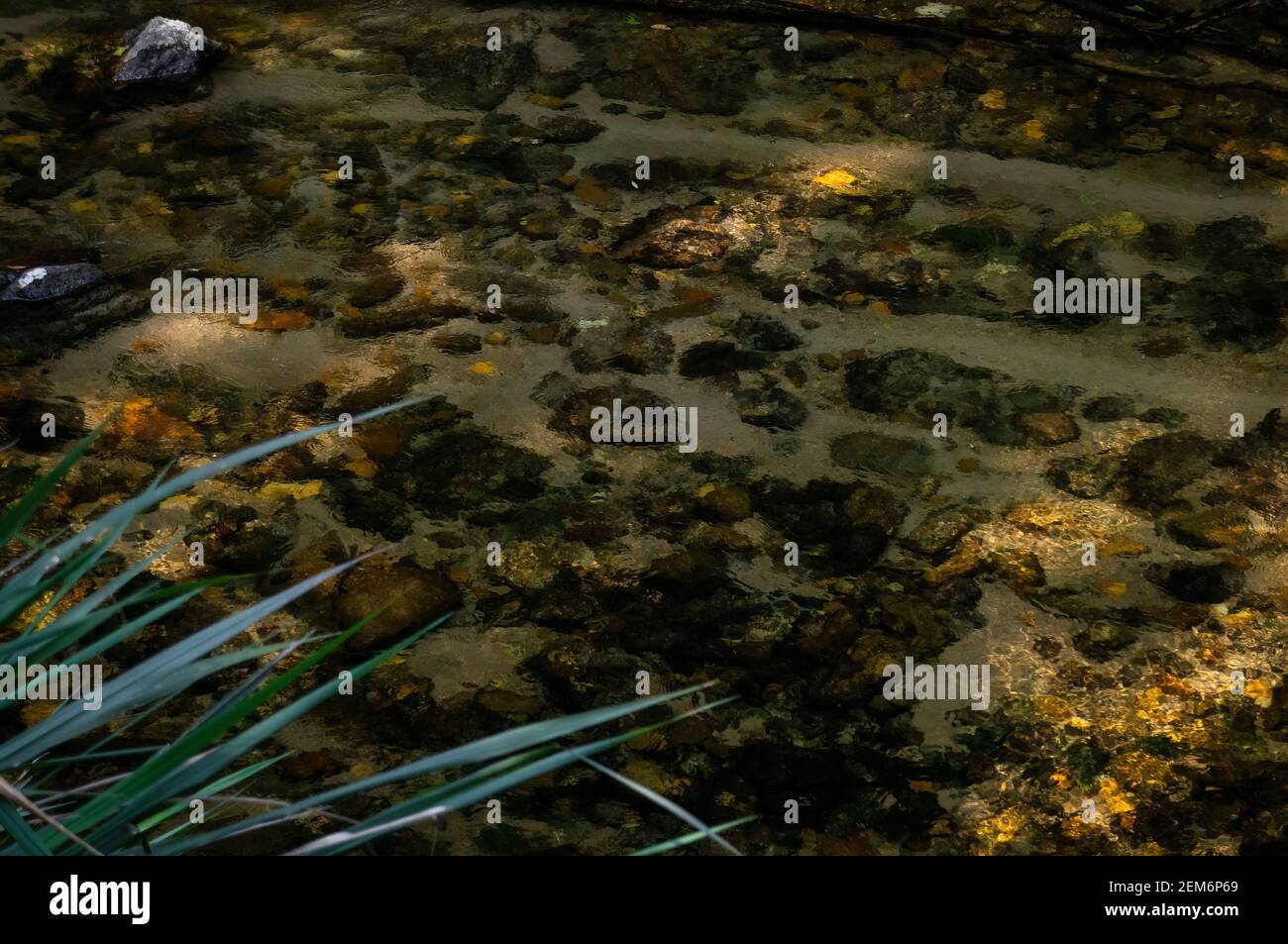 A beautiful golden appearance crystal clear water river flowing over ...