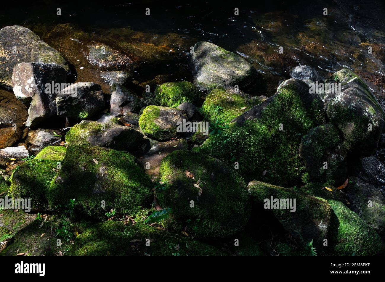 Rocks and stones covered with moss at the natural pool formed by ...