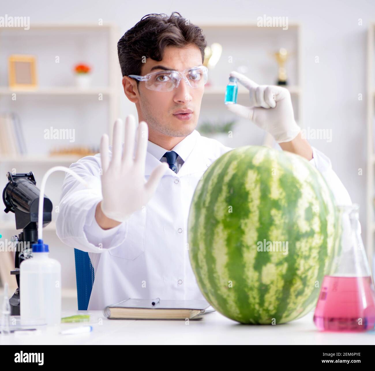 The scientist testing watermelon in lab Stock Photo - Alamy