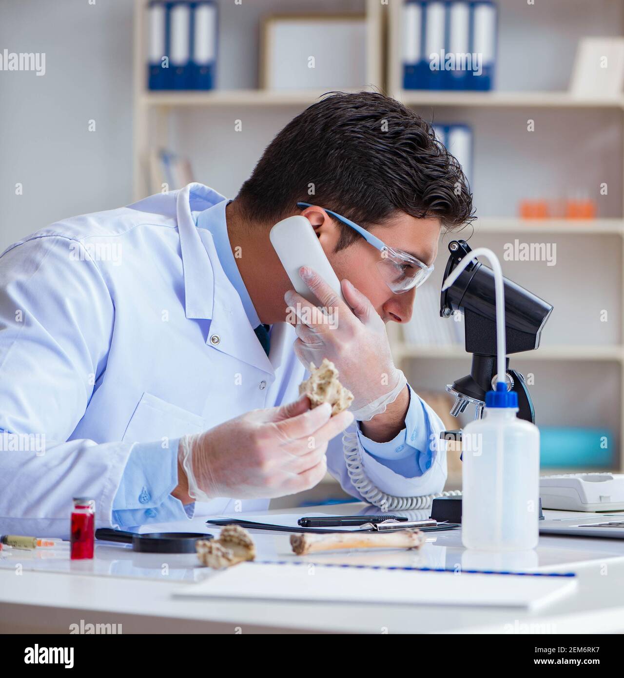 The paleontologist looking at extinct animal bone Stock Photo - Alamy