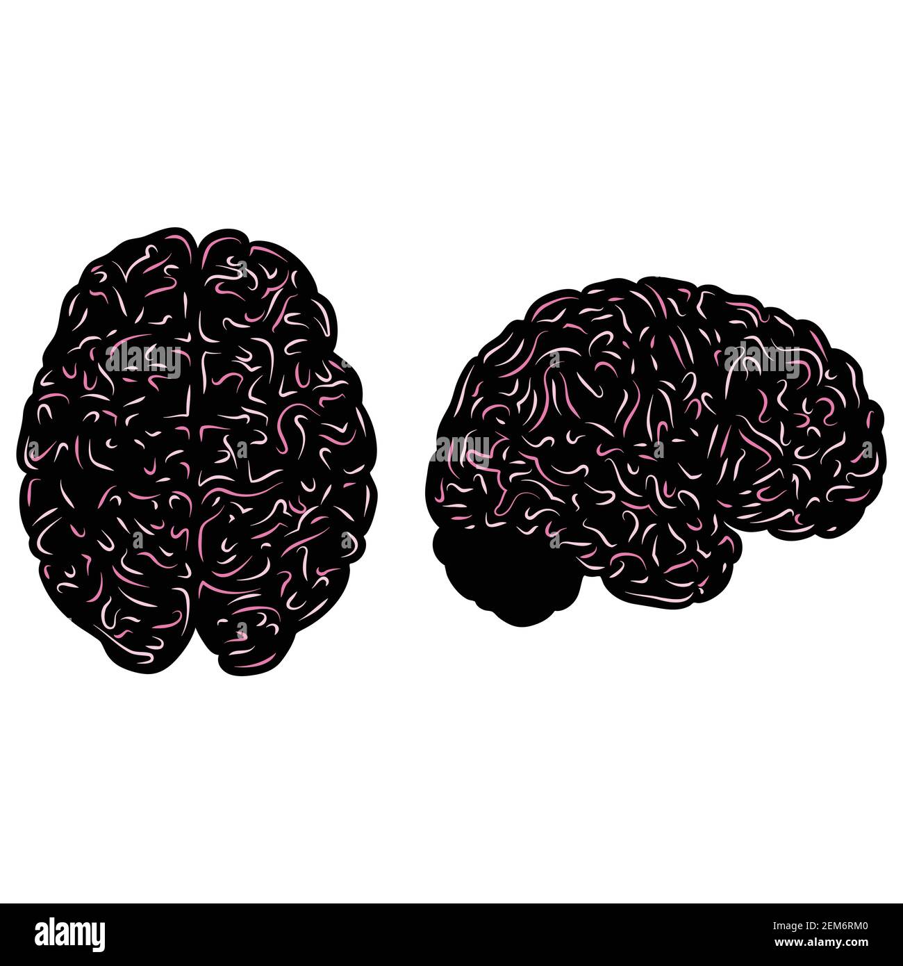 Human brain white lines Cut Out Stock Images & Pictures - Alamy