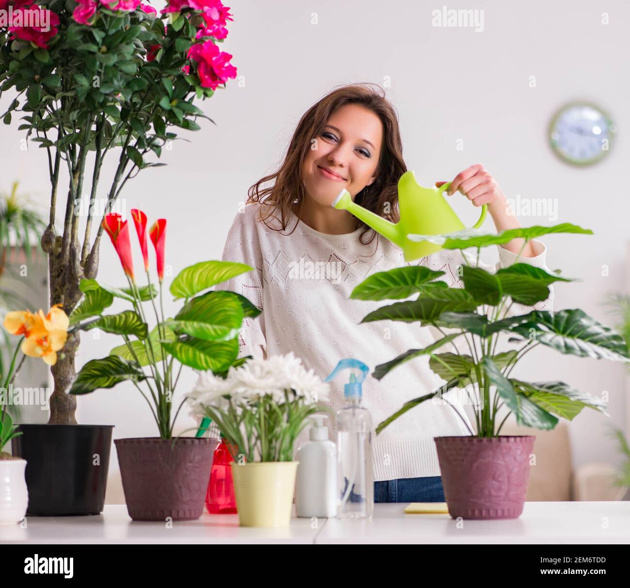 The young woman looking after plants at home Stock Photo - Alamy