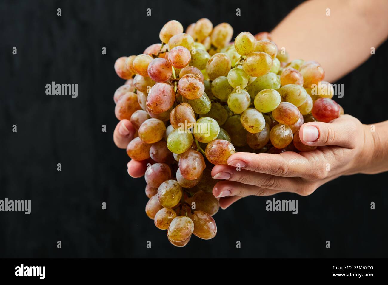 A bunch of fresh grapes in hand on black background Stock Photo - Alamy