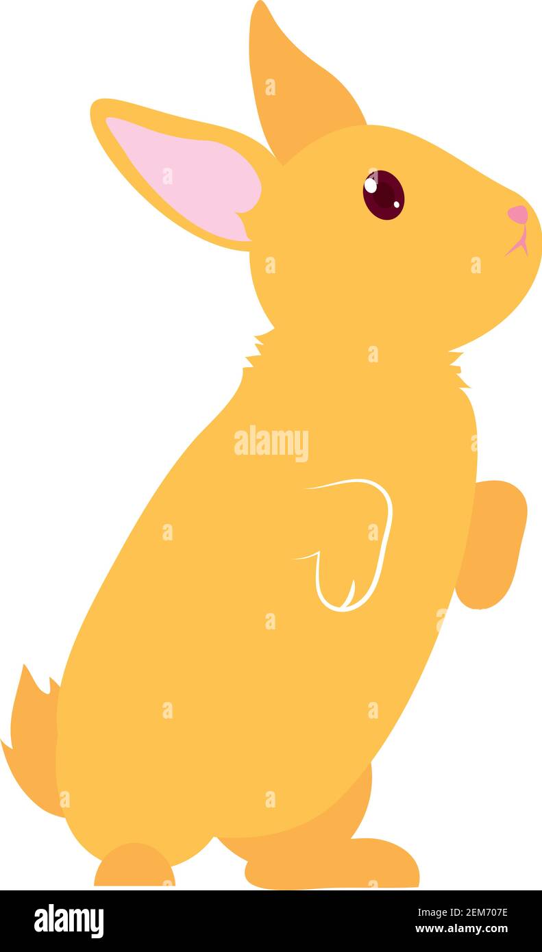 cute yellow rabbit over white background, colorful design, vector ...