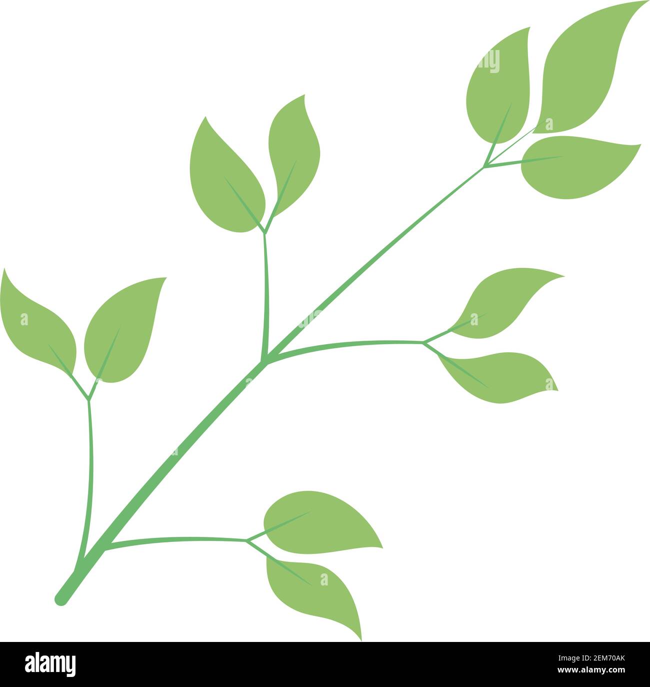 icon of stem with green leaves over white background, colorful design ...