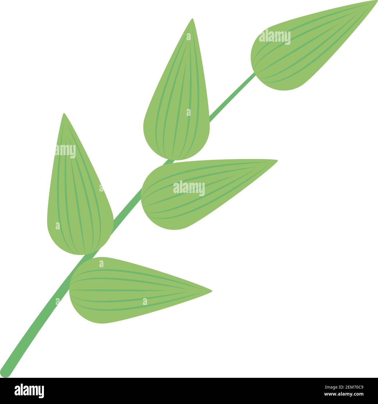 green stem with leaves over white background, colorful design, vector ...