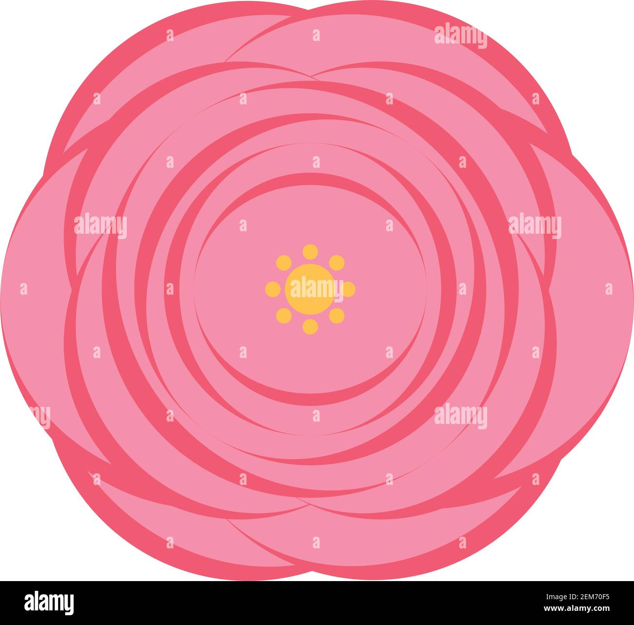 beautiful pink flower icon over white background, colorful design ...