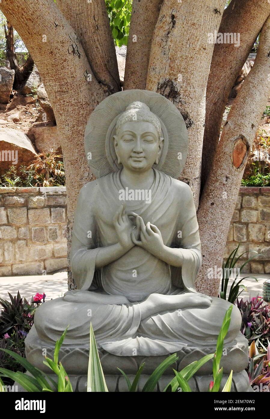 Buddha sitting under tree statue hi-res stock photography and images ...