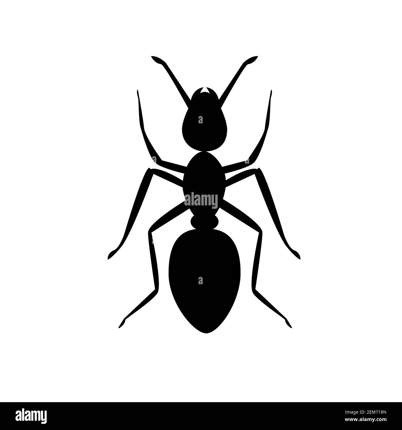 ant icon on white background. ant animal sign. black ant symbol Stock ...