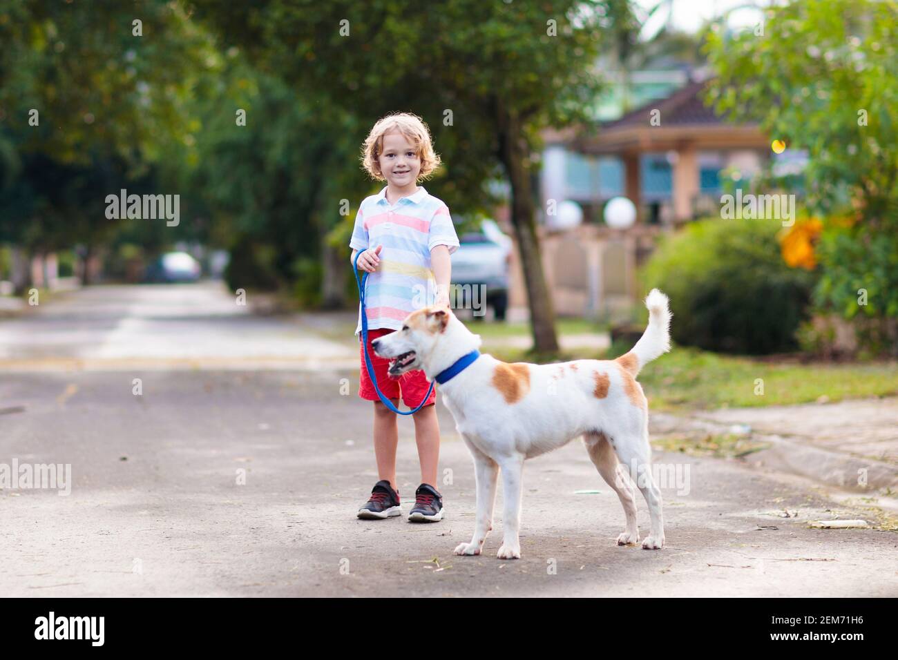 Child walking dog. Kid playing with cute puppy. Little boy running with ...