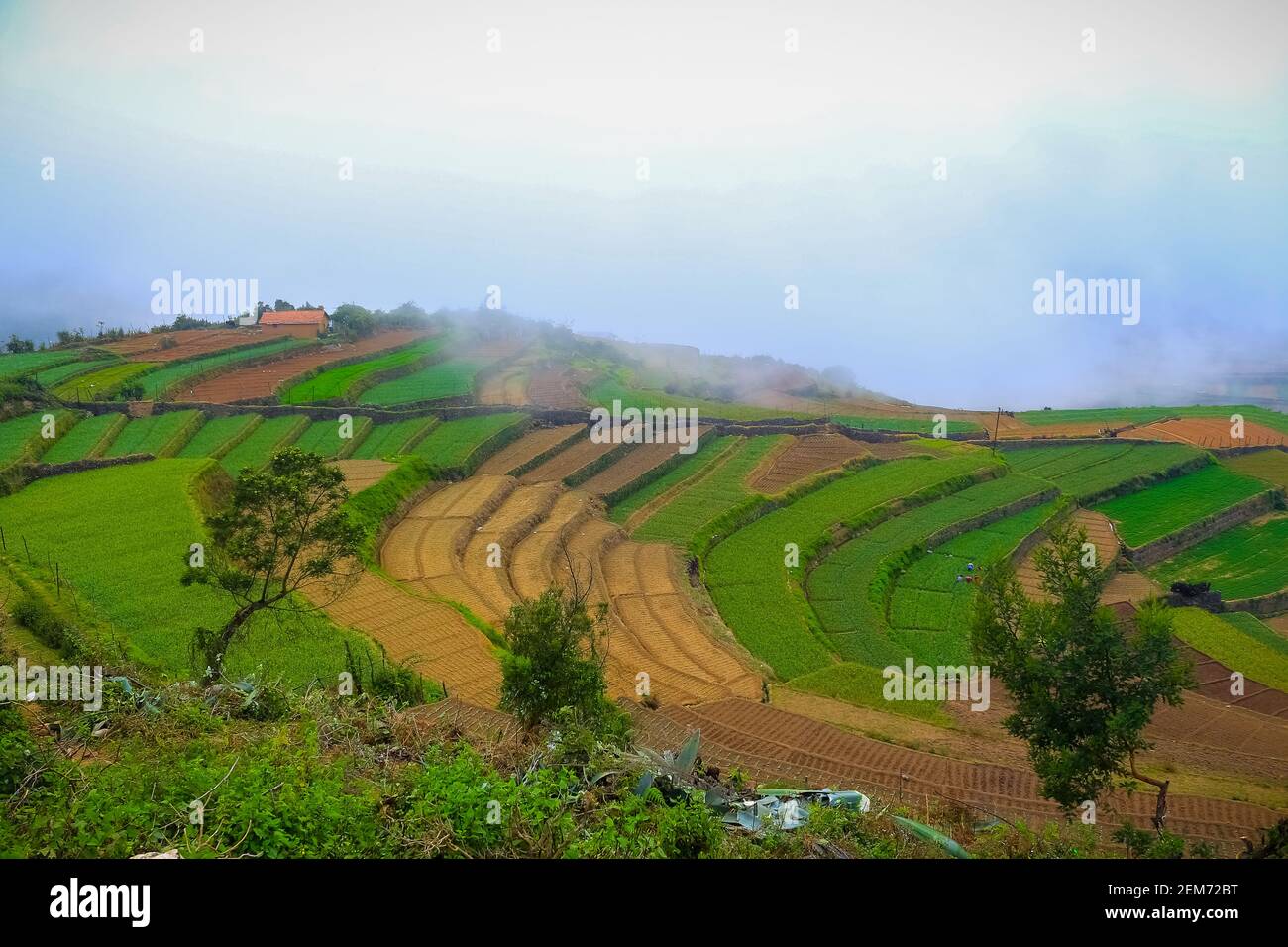 Poombarai Village View Over The Misty Clouds. Beautiful Poombarai ...