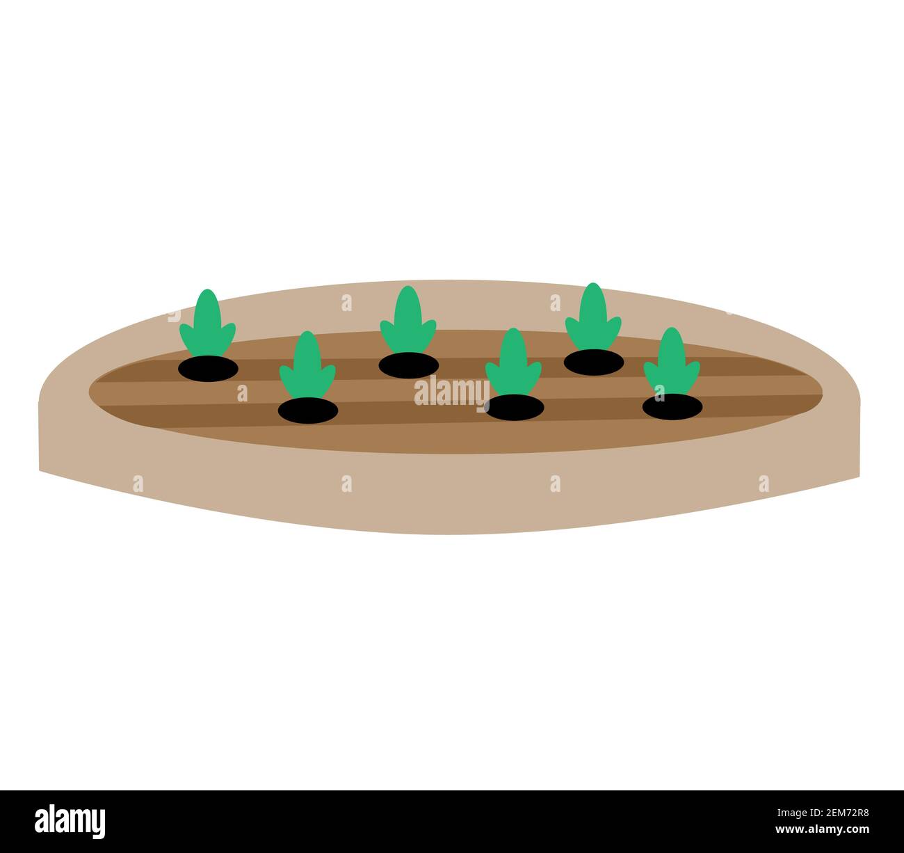 Cultivation of vegetables on white background. flat style. vegetable ...