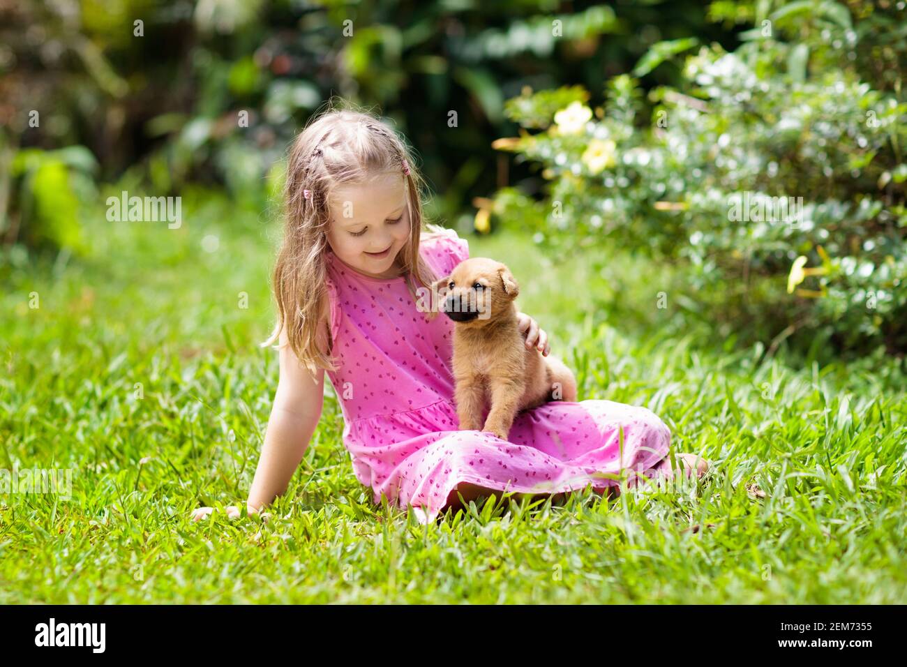 Kids play with cute little puppy. Children and baby dogs playing in ...